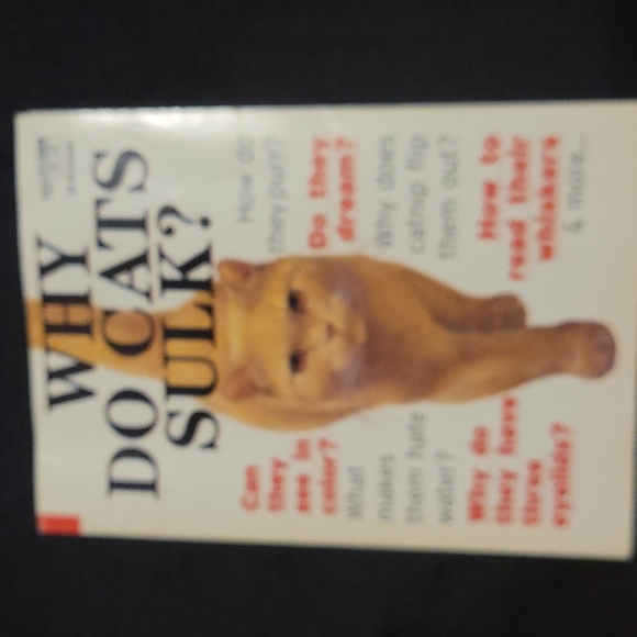 Why Do Cats Sulm | Other | Why Do Cats Sulk Book | Poshmark